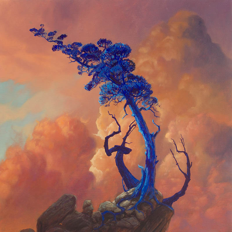 13th Annual Artists Show | Colville Gallery